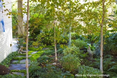 Fiona Brockhoff Design