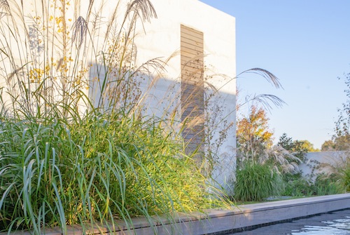 Fiona Brockhoff Design