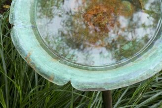 Fiona Brockhoff Design » Toadstool birdbaths